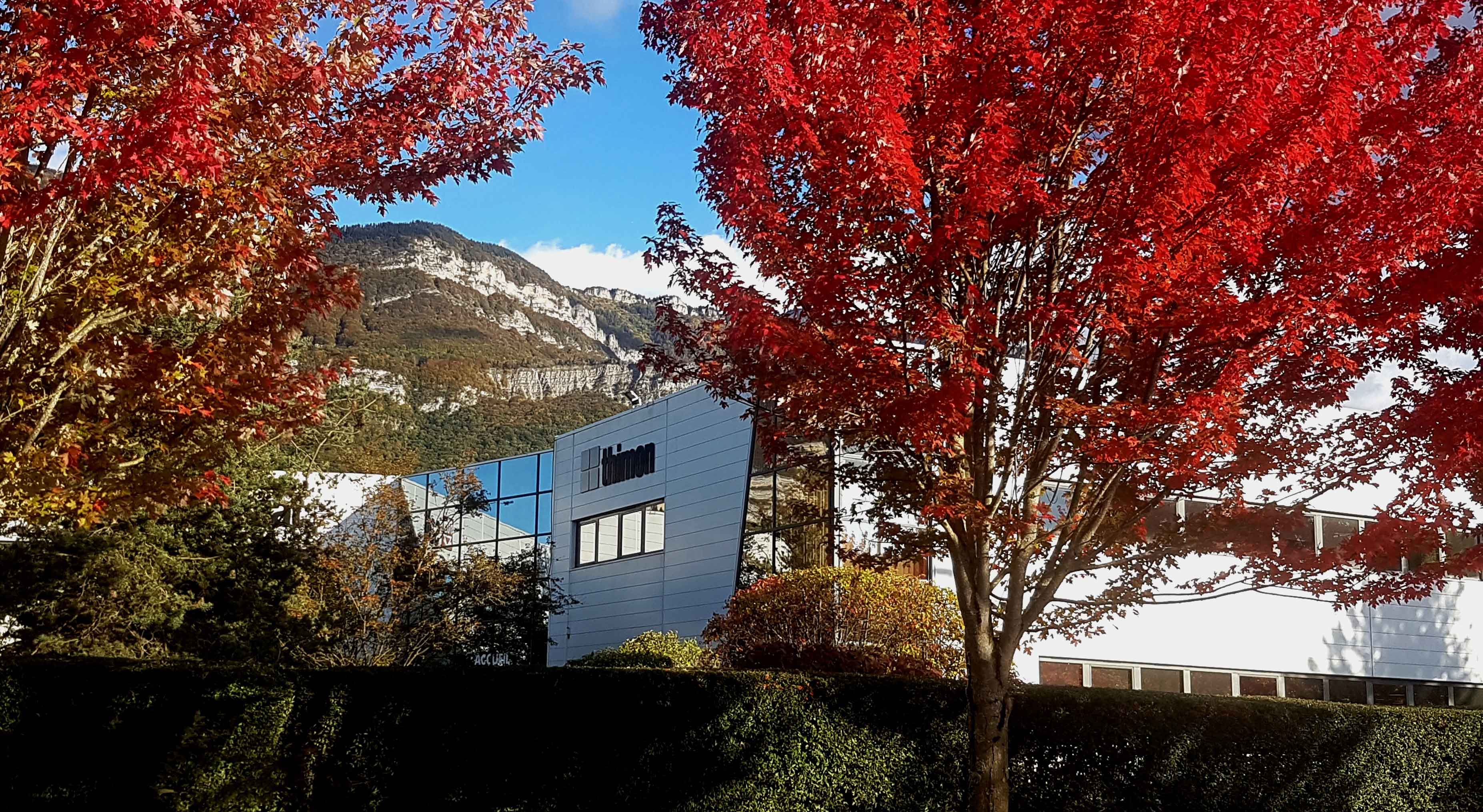 Who are we? | Thimon